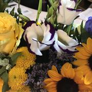 Florist's Choice Posy Arrangement - Funeral Flowers Forfar